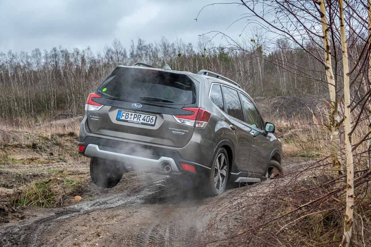 Der Subaru Forester e-Boxer könnte Försters neuer Liebling werden
