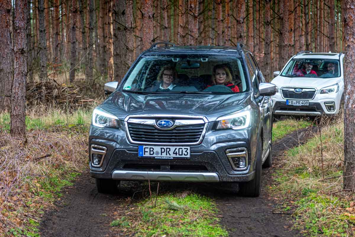 Der Subaru Forester e-Boxer könnte Försters neuer Liebling werden
